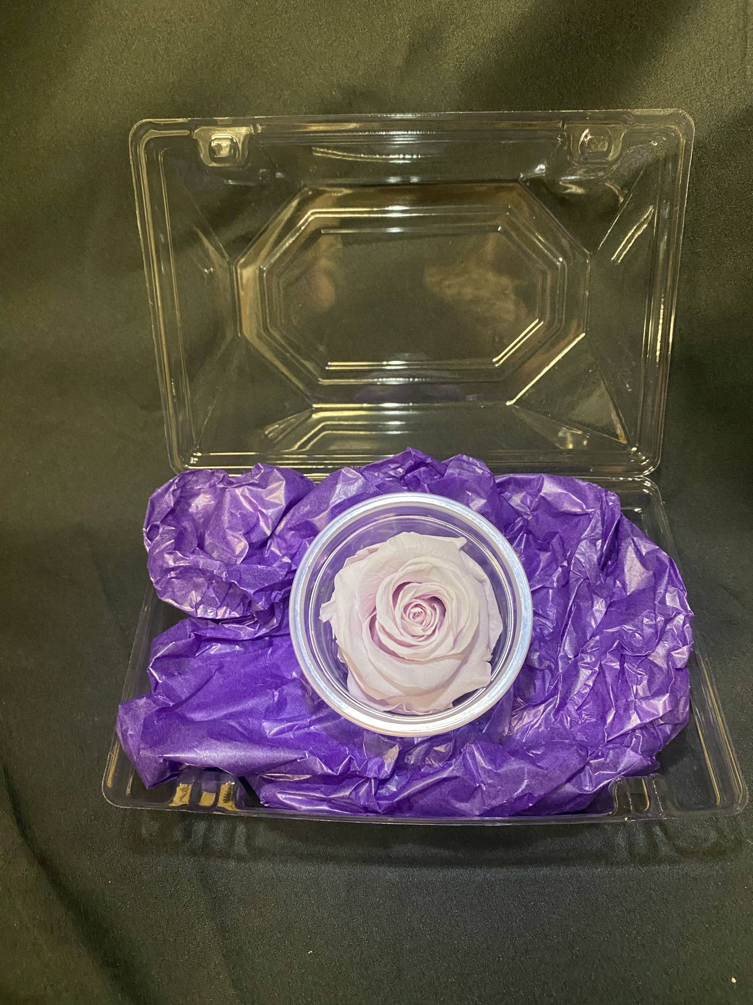 Light Purple Forever Rose – Lady Di's Floral Haven